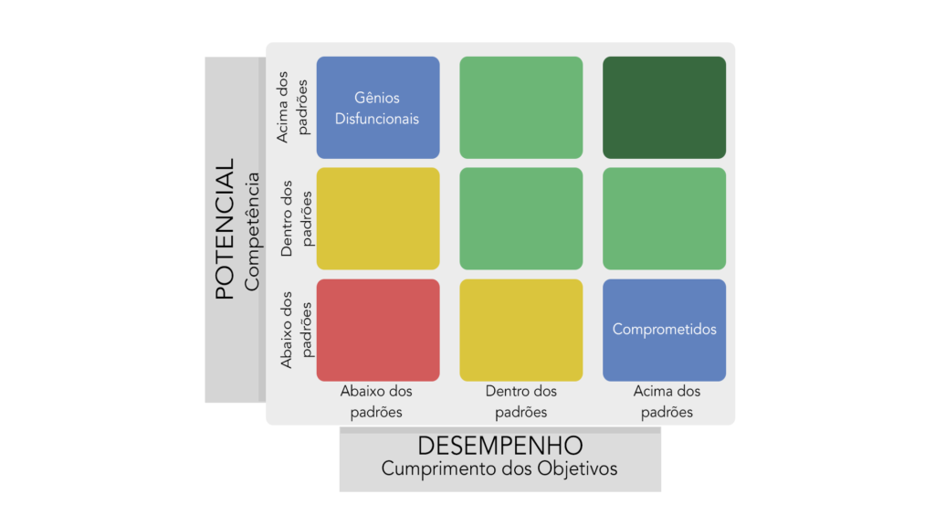 Nine Box Matriz Performance X Comportamento Atrator